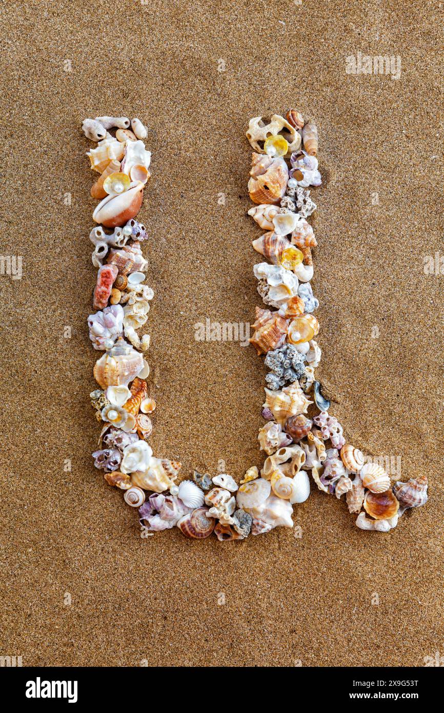 The letter T of the English alphabet, a letter made of seashells on the ...