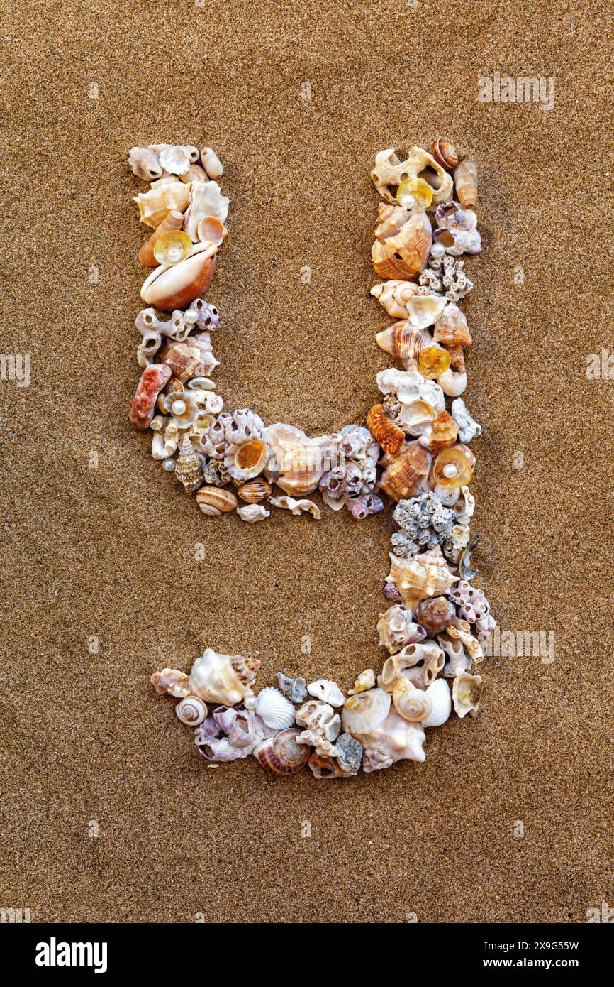 The letter T of the English alphabet, a letter made of seashells on the ...