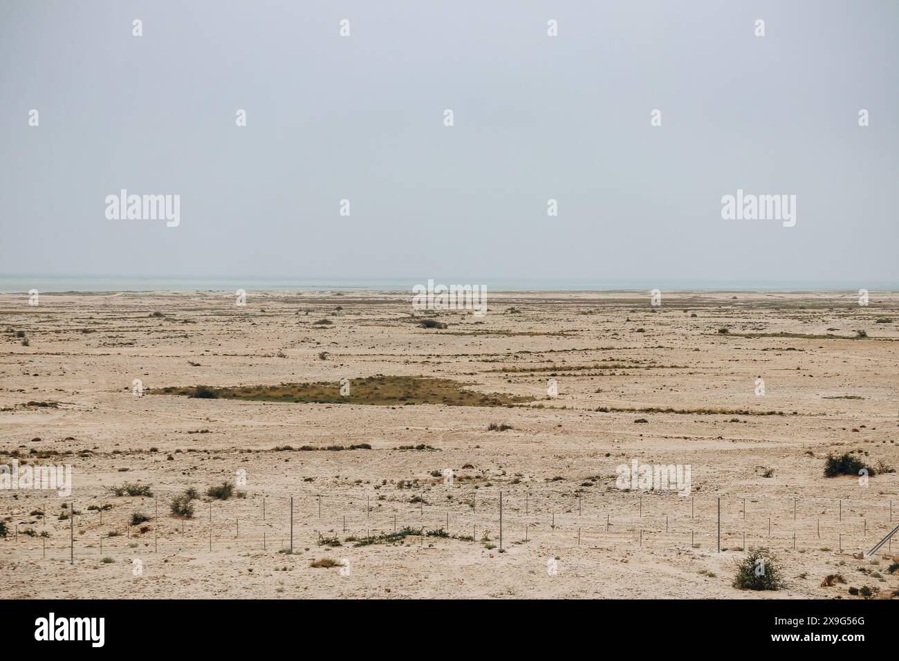 Desert in northern Qatar around Al Zubarah Fort Stock Photo - Alamy