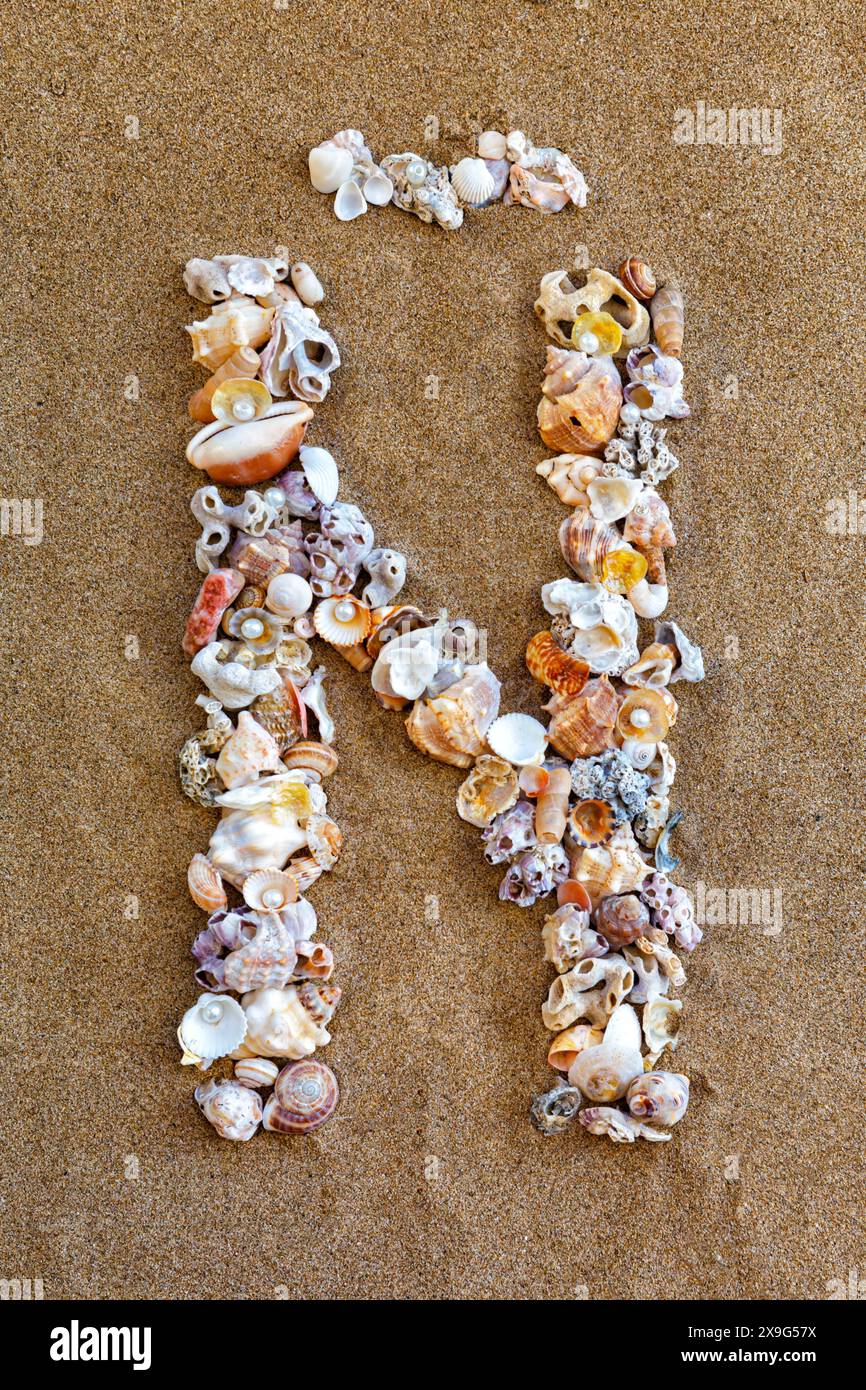 The letter T of the English alphabet, a letter made of seashells on the ...