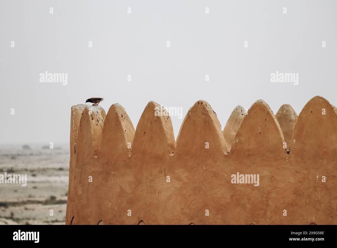 Al Zubara Fort, a historic Qatari military fortress built under the ...