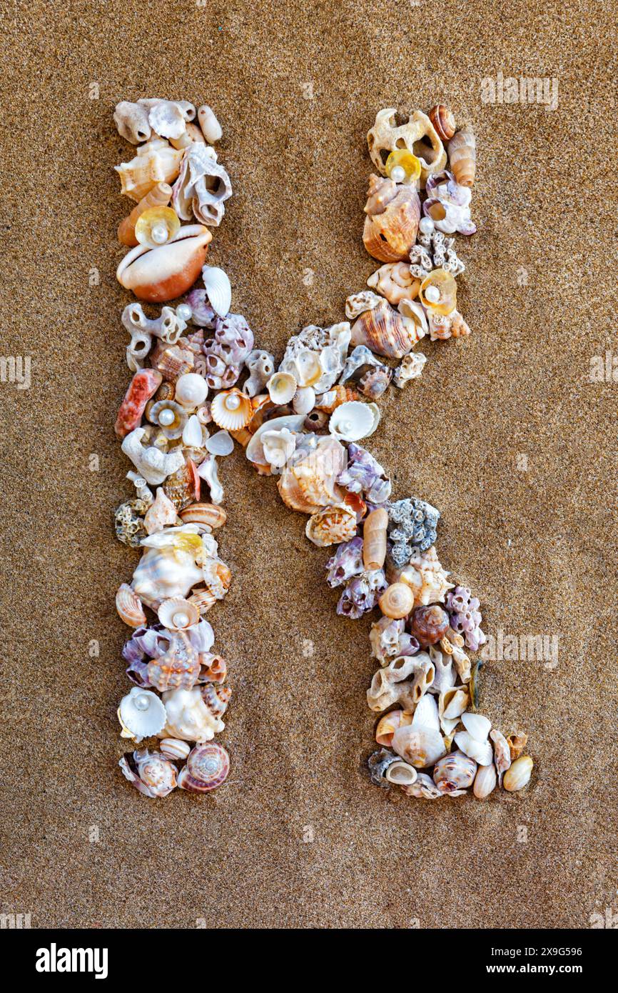 The letter T of the English alphabet, a letter made of seashells on the ...