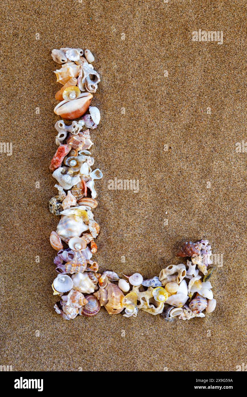 The letter T of the English alphabet, a letter made of seashells on the ...