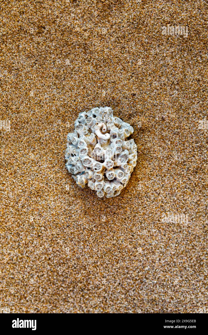 Question mark made sand background hi-res stock photography and images ...