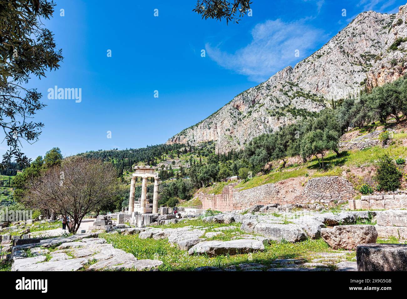 Remains of the Tholos of Athena Pronaia at the Delphi site. The Tholos ...