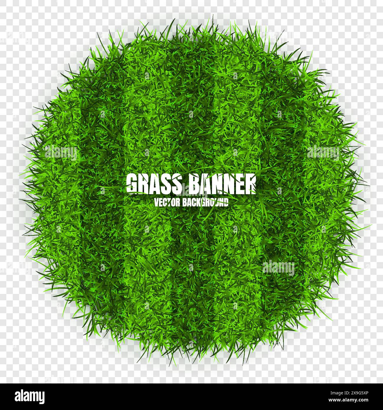 Green grass banners, background. Field, meadow texture, grassy ...