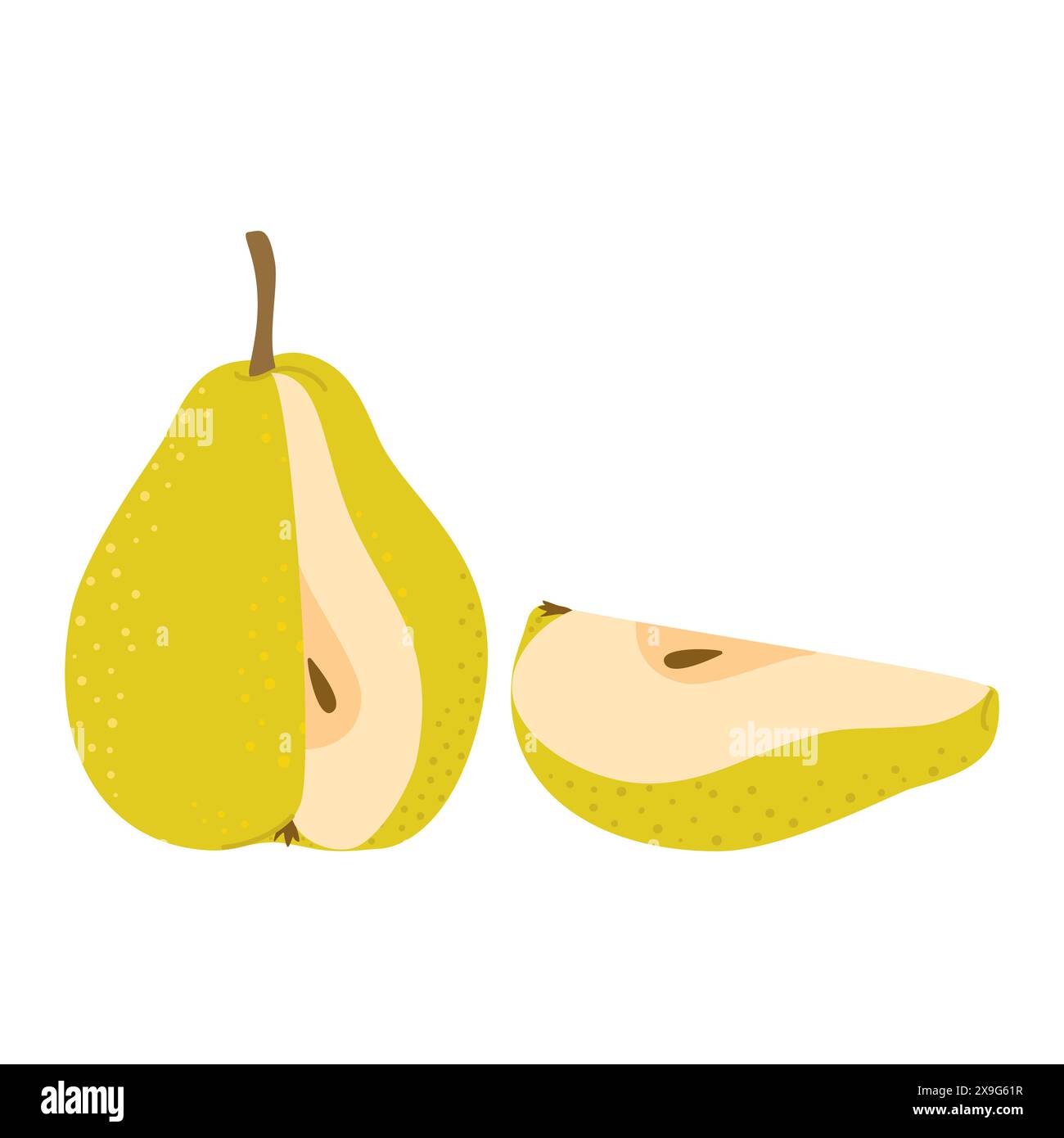 Pear cross section Stock Vector Images - Alamy