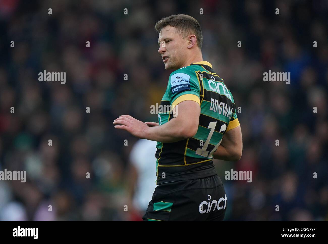 Northampton Saints' Fraser Dingwall during the Gallagher Premiership ...