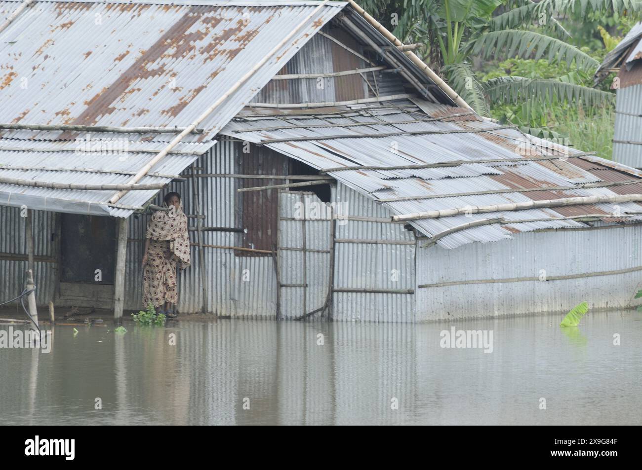 Sylhet, Bangladesh. 30th May, 2024. A women in a submerged house in ...