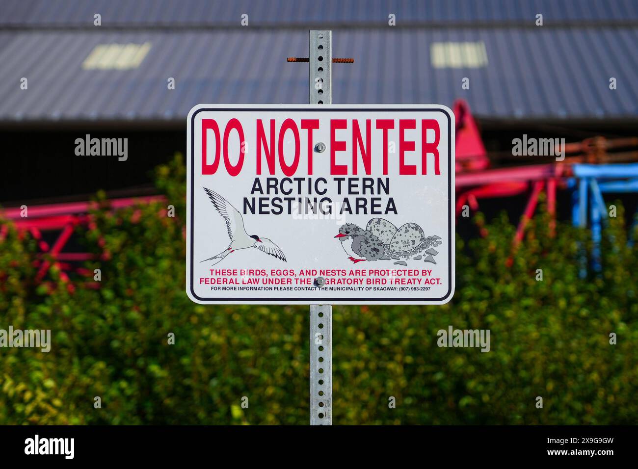 "Do not enter" sign warning about a nesting area of arctic tern in ...