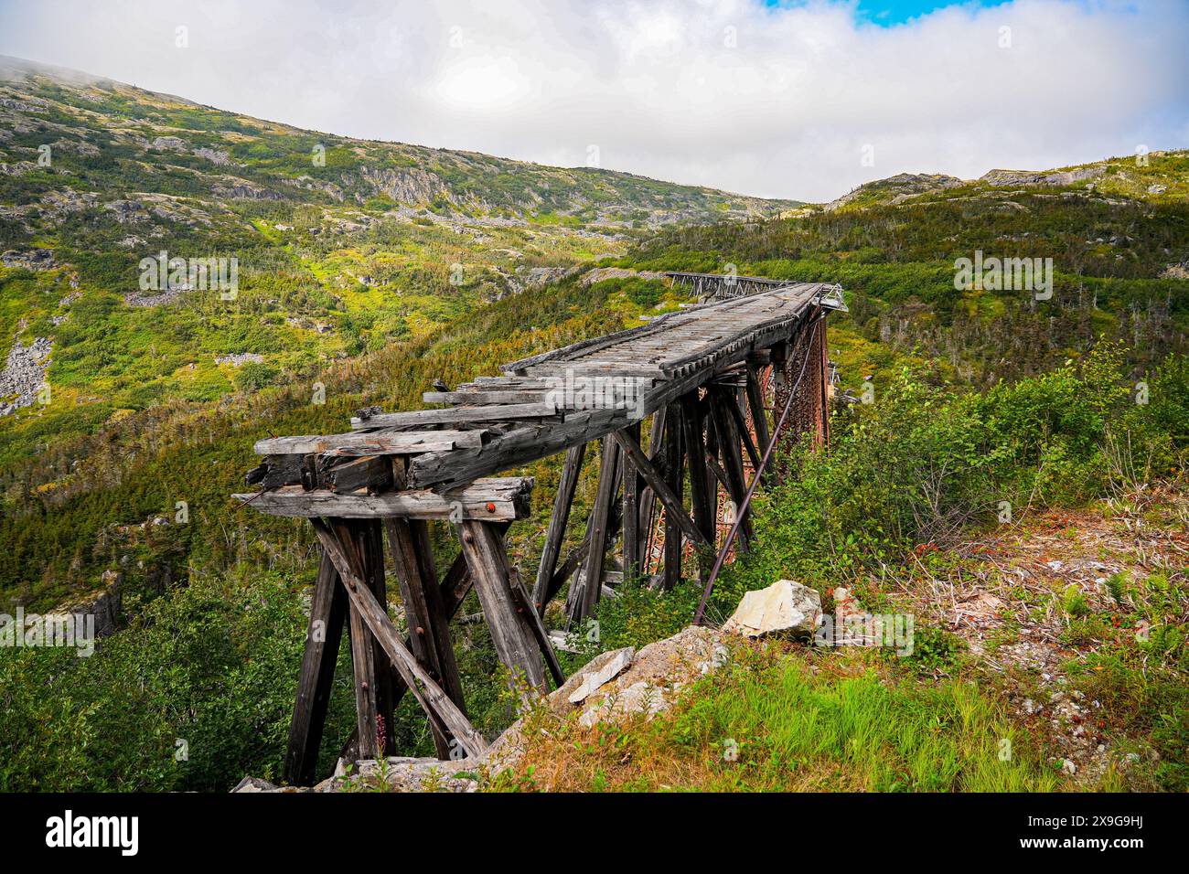 Collapsed trestles railroad bridge in the White Pass and Yukon Route ...
