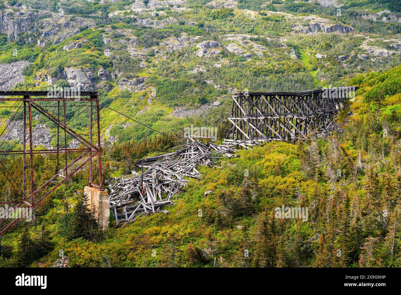 Collapsed trestles railroad bridge in the White Pass and Yukon Route ...