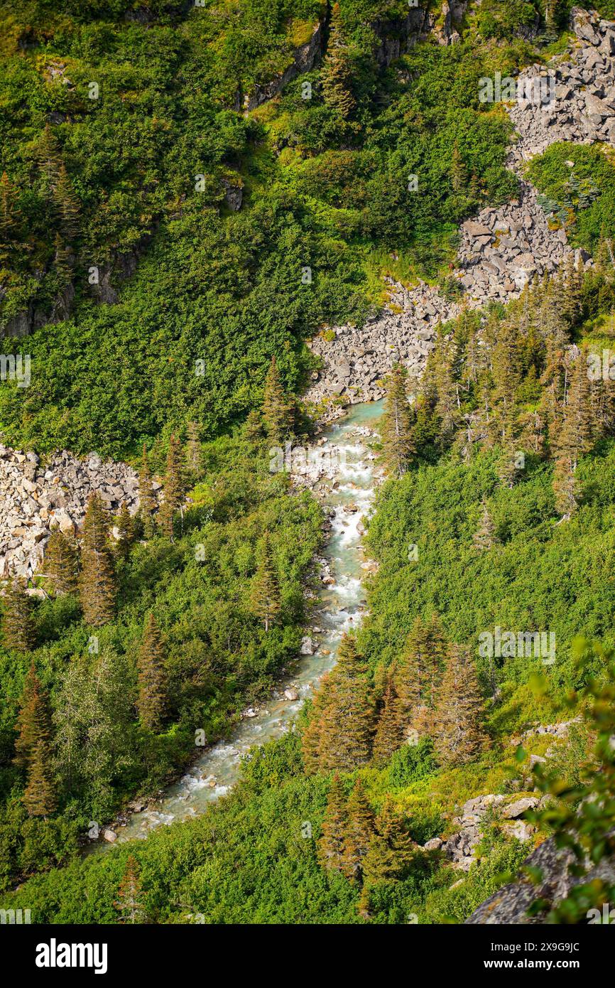 Aerial view of the river flowing in the White Pass and Yukon Route ...