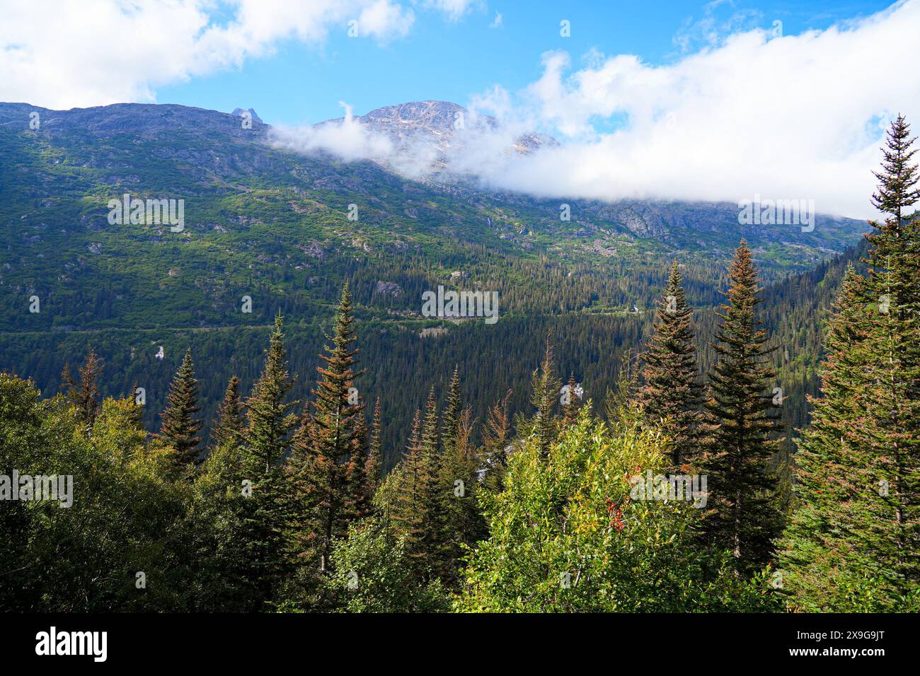 Mountains in the Chilkoot Trail National Historic Site in British ...