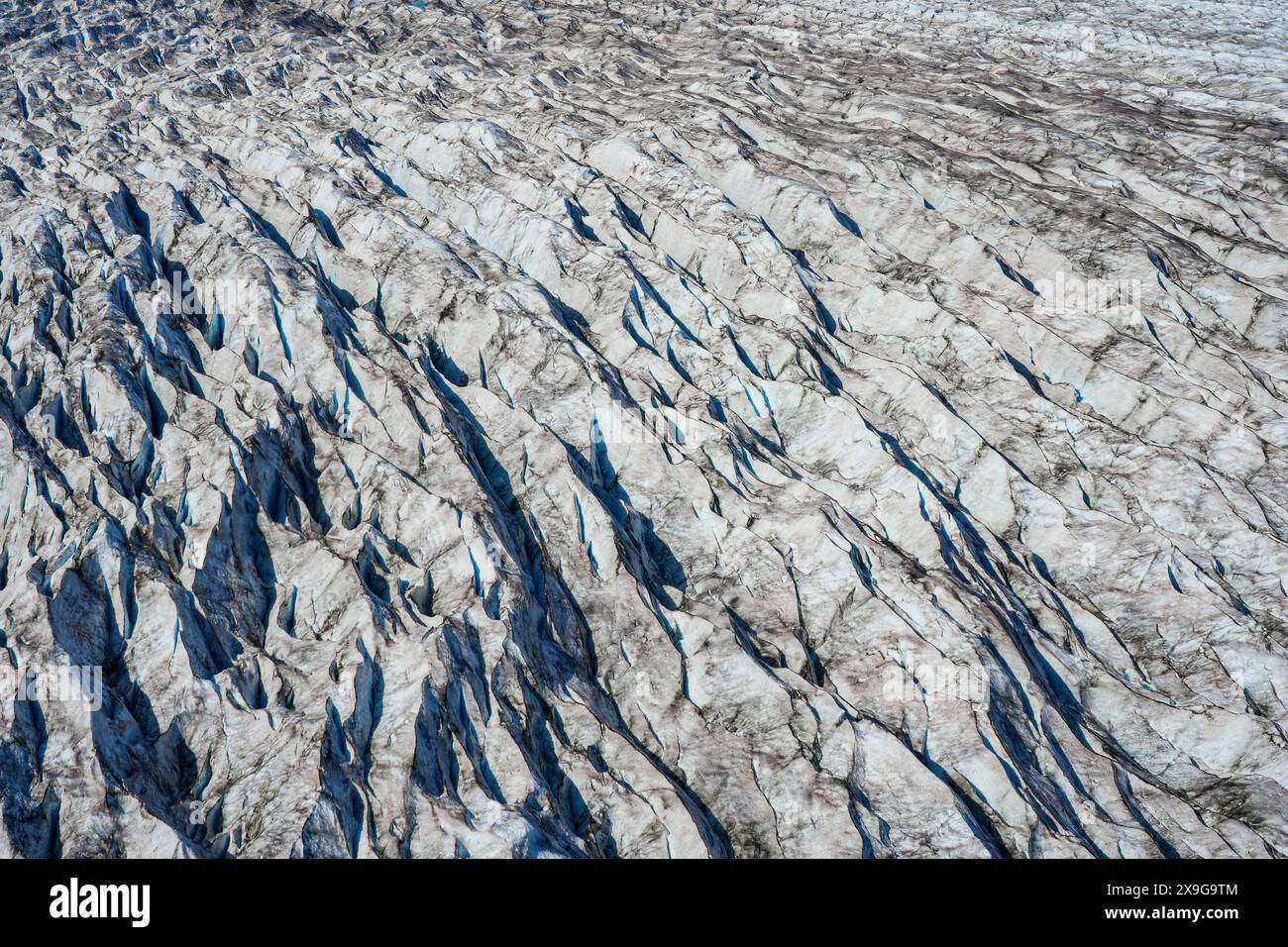Aerial view of the glaciers located along the Taku Inlet, which are ...