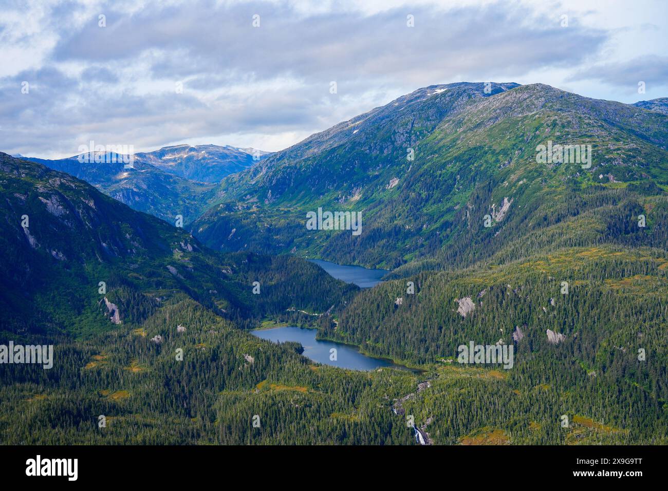 Aerial view of mountain lakes surrounded by pine forests in the snow ...
