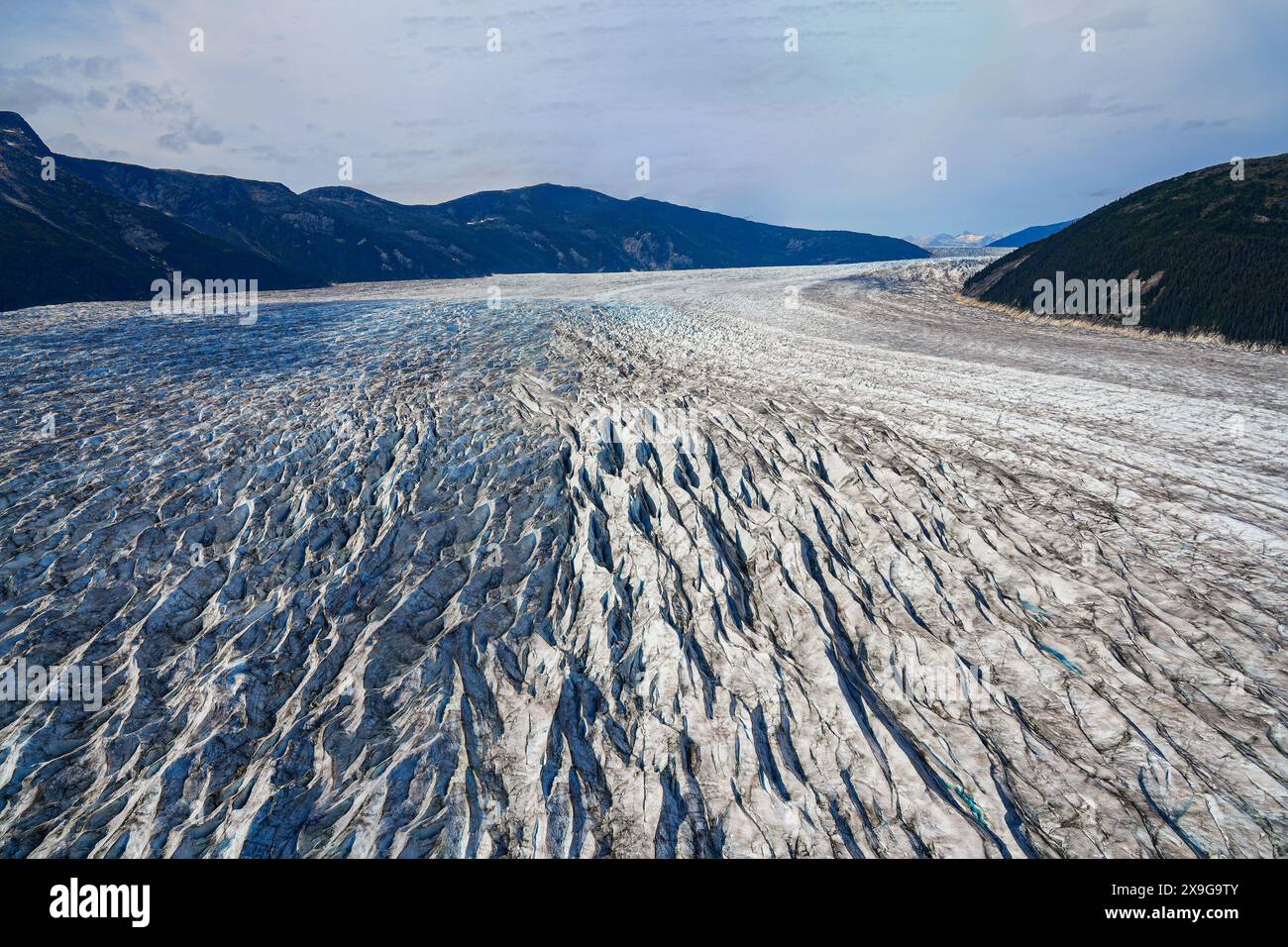 Aerial view of the glaciers located along the Taku Inlet, which are ...