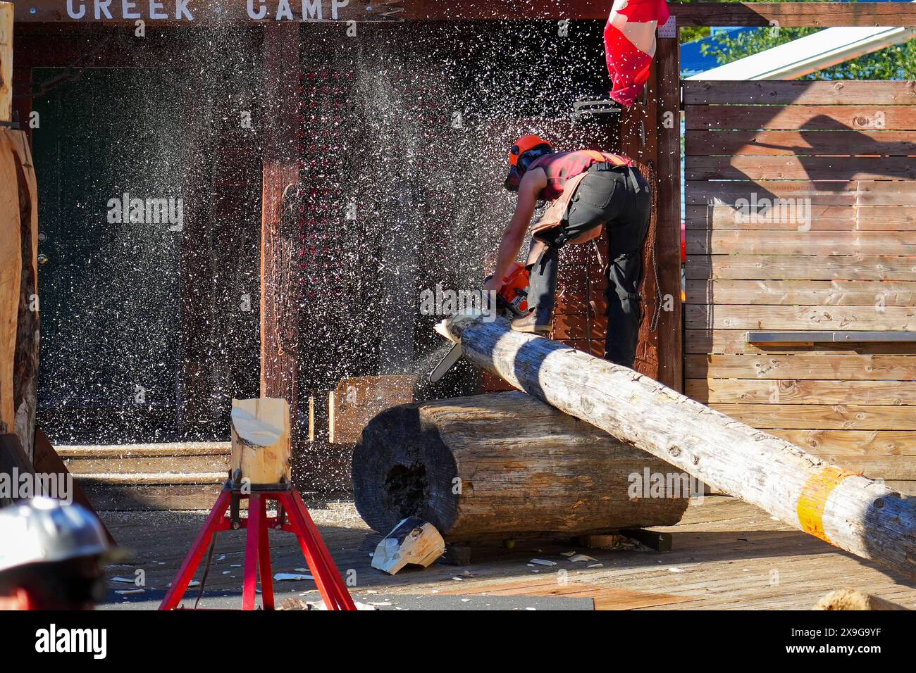 Woodsman skills hi-res stock photography and images - Alamy