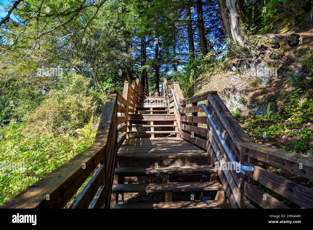 Elevated boardwalk of the Salmon Walk, a trail following the banks of ...