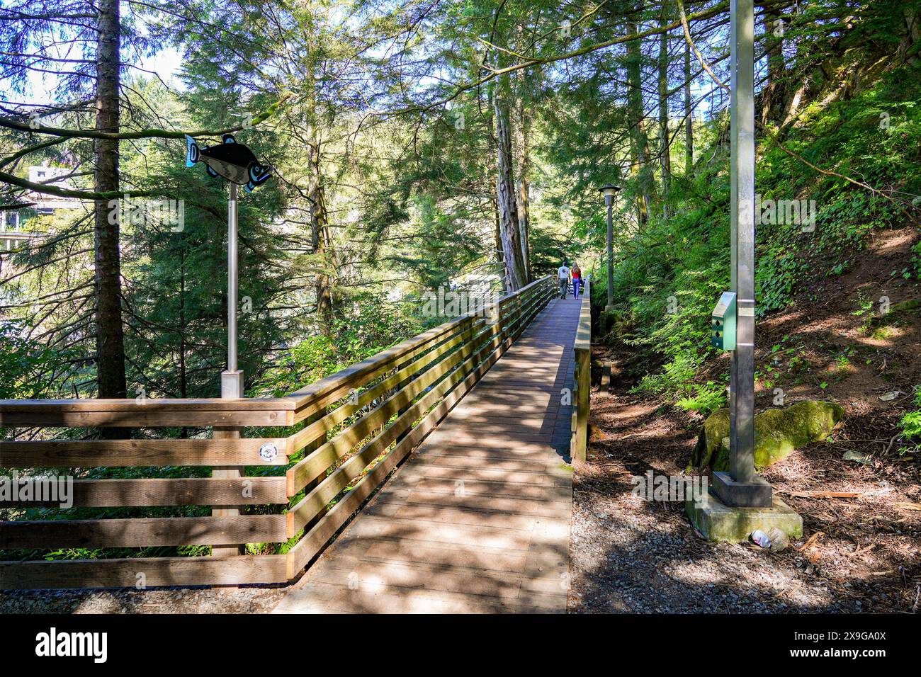 Elevated boardwalk of the Salmon Walk, a trail following the banks of ...