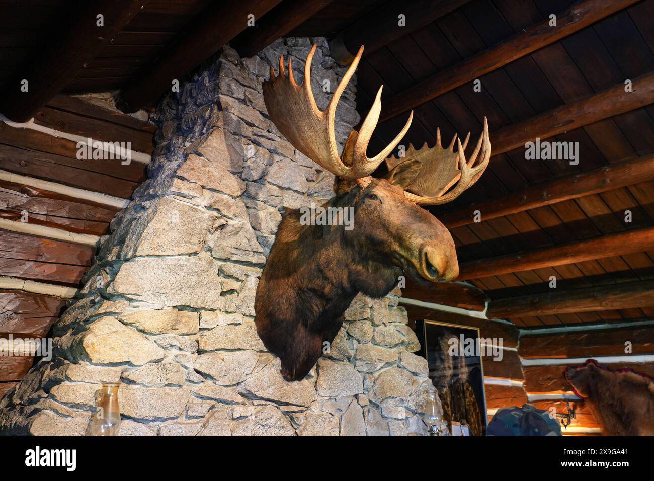 Hunting lodge interior hi-res stock photography and images - Alamy
