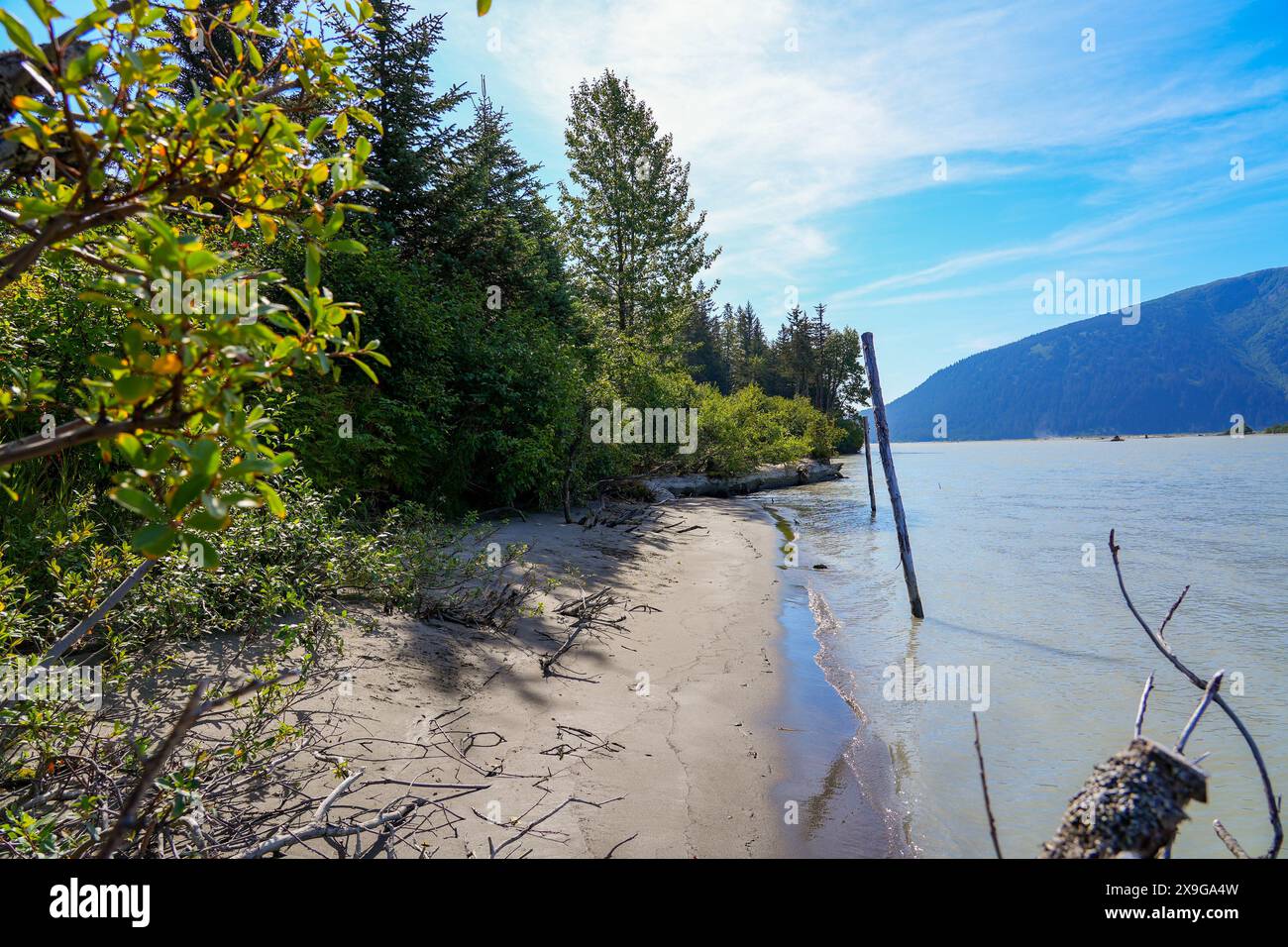 Small beach of moraine deposits on the shore of a lake of melt water ...