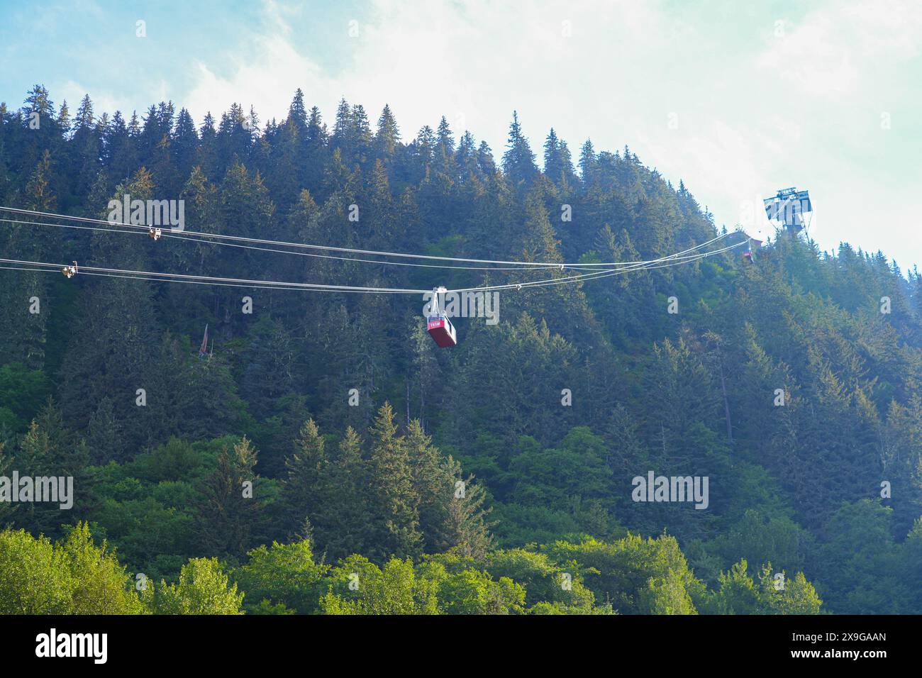Goldbelt Tram cable-car ascending Mount Roberts above Juneau, the ...