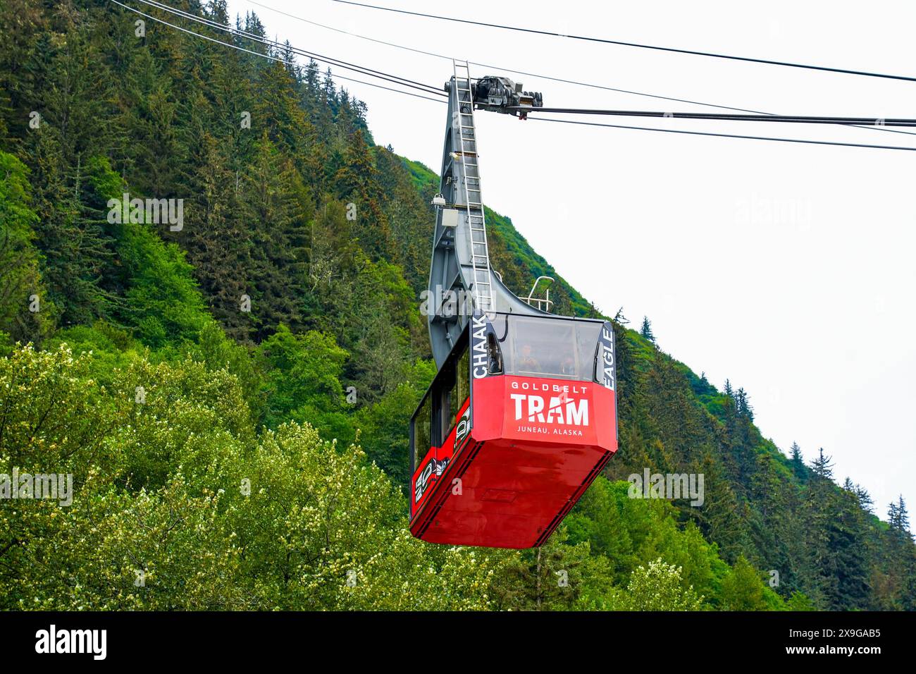 Red gondola of the Goldbelt Tram cable-car ascending Mount Roberts ...