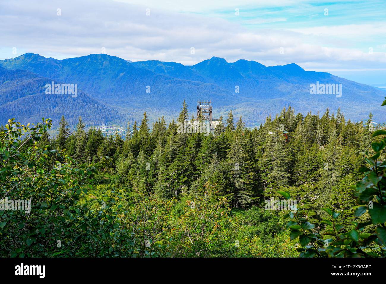 Douglas Island as seen from the top of Mount Roberts near the top ...
