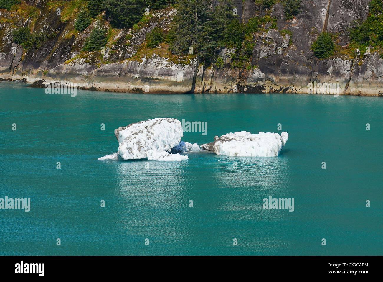 Floating iceberg drifting away from South Sawyer Glacier at the end of ...