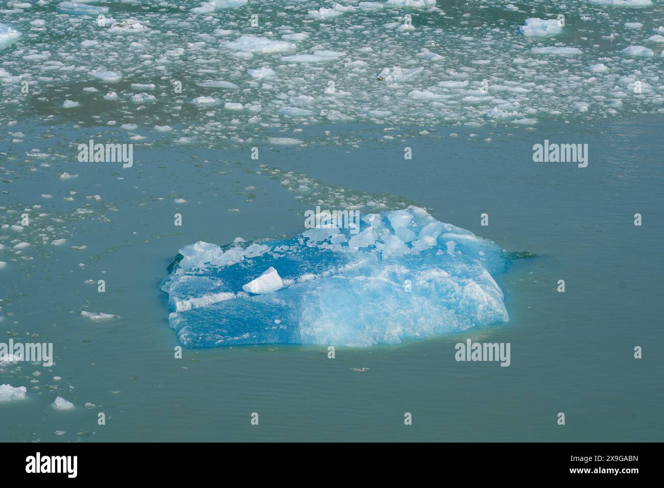 Floating iceberg drifting away from South Sawyer Glacier at the end of ...
