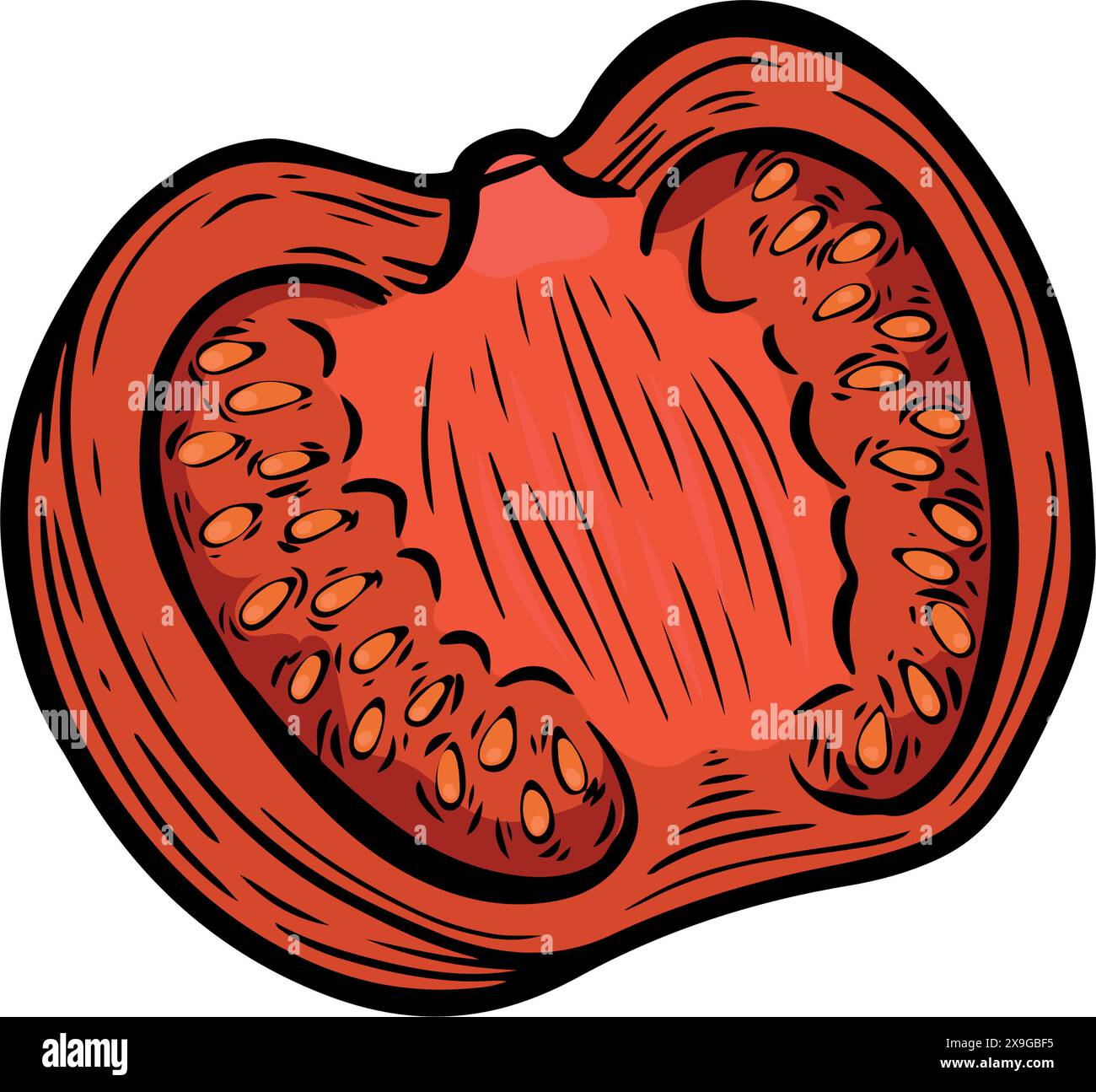 Tomato half line drawing vector illustration Stock Vector Image & Art ...