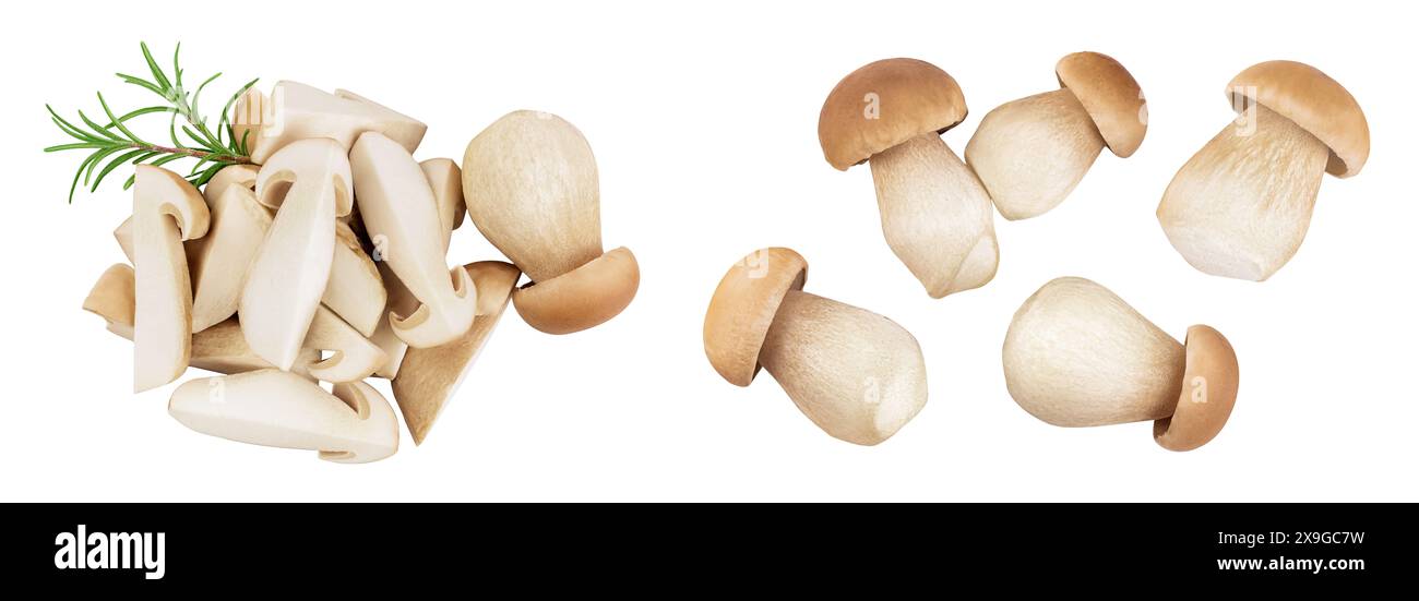 Fresh porcini cep mushroom slices isolated on white background with ...