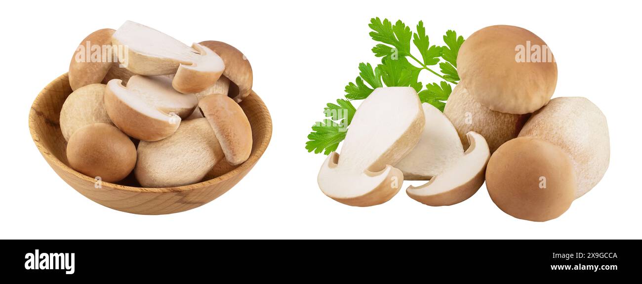 Fresh porcini cep mushroom in wooden bowl isolated on white background ...