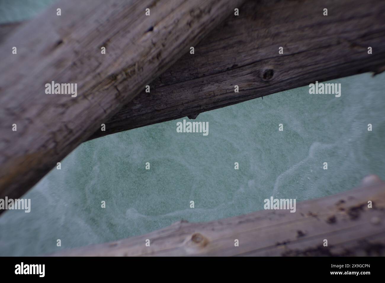 Logs floating in water hi-res stock photography and images - Alamy