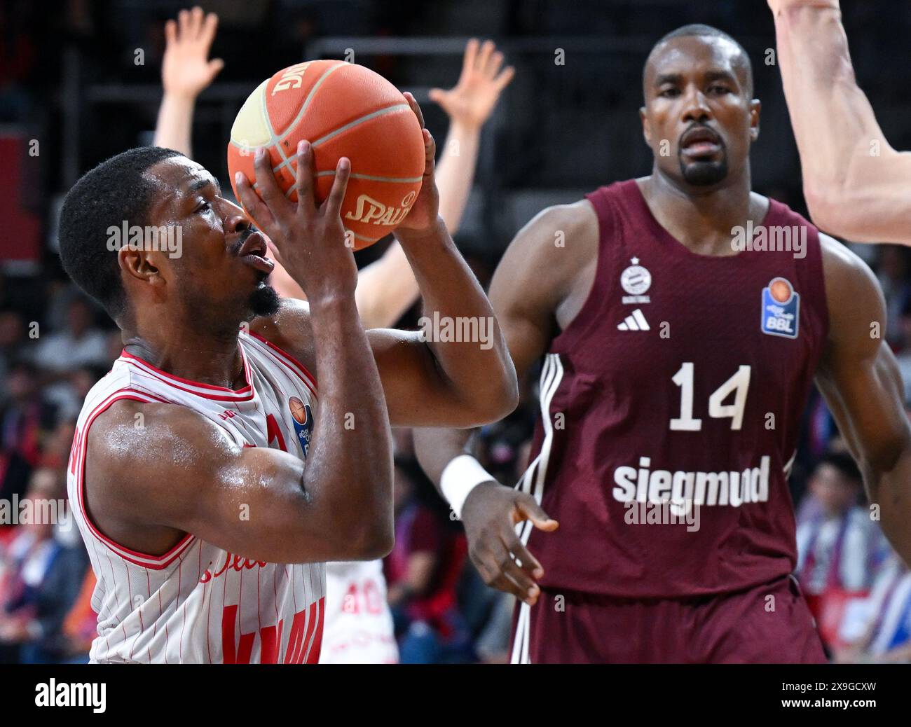 Munich, Germany. 31st May, 2024. Basketball: Bundesliga, FC Bayern ...