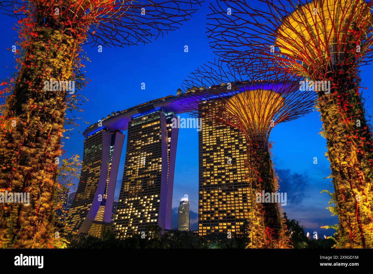 Light and music show in Gardens by the Bay park Supertrees elevated ...