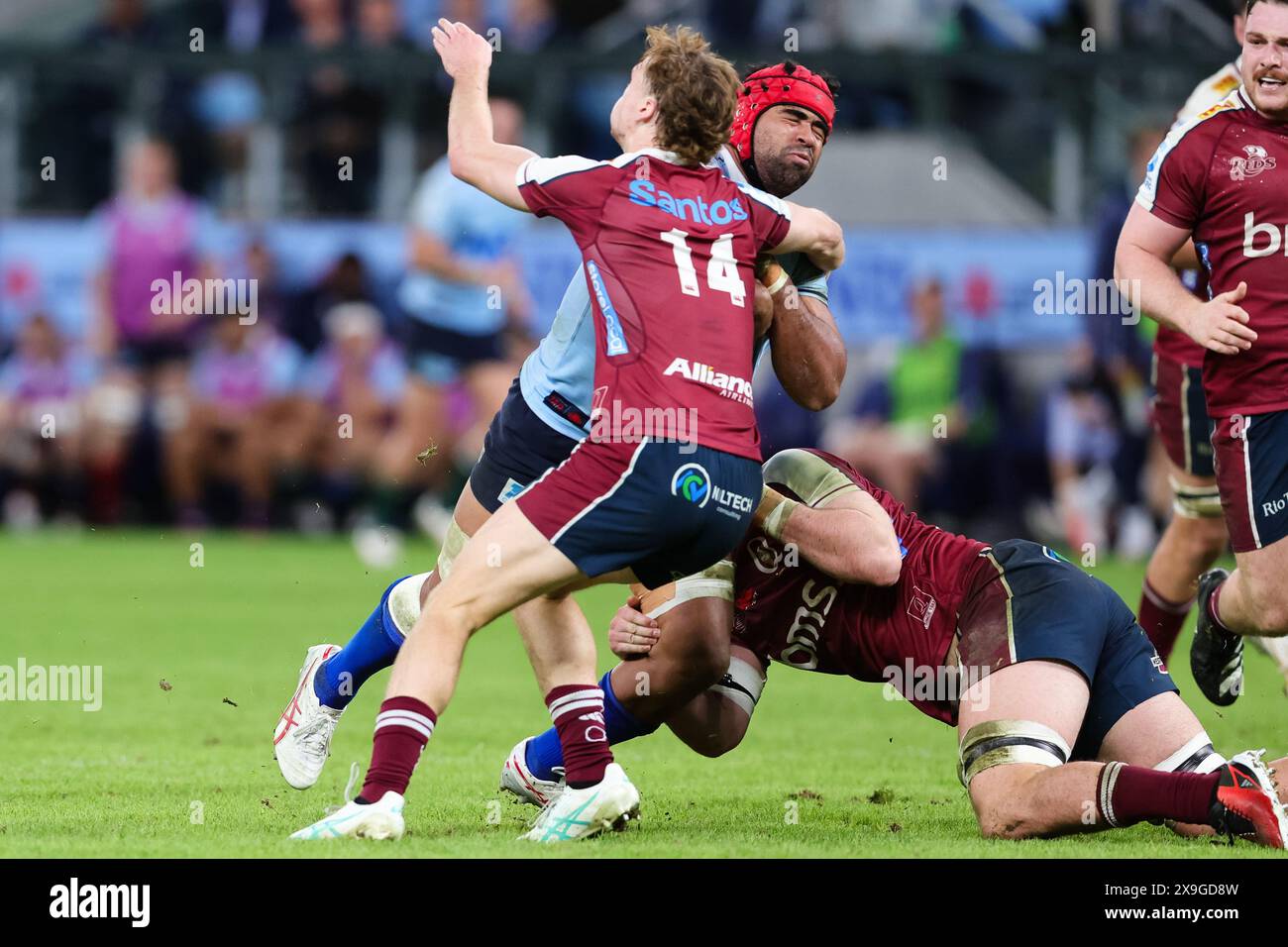 Sydney, Australia, 31 May, 2024. Langi Gleeson of the Waratahs is ...