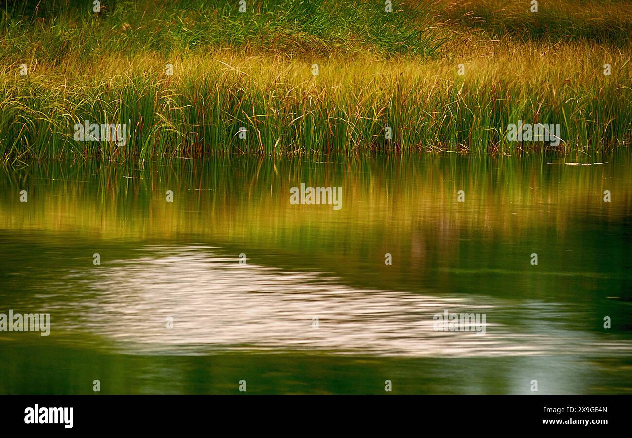 Trails And Waterways. 1st June, 2024. National Trails Day is celebrated ...