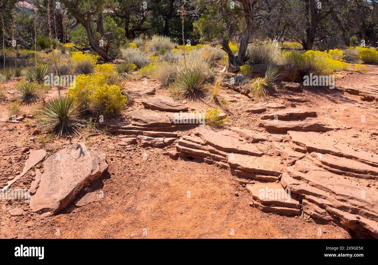 Trails And Waterways. 1st June, 2024. National Trails Day is celebrated ...