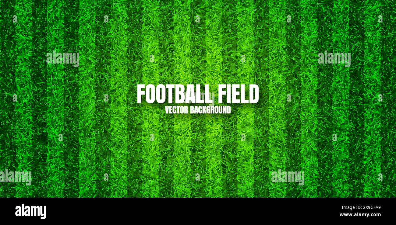 Soccer playing field with green grass. Football pitch background with ...