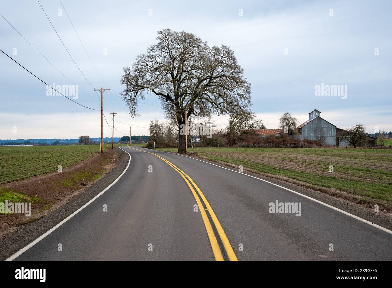 Powerlines road hi-res stock photography and images - Alamy