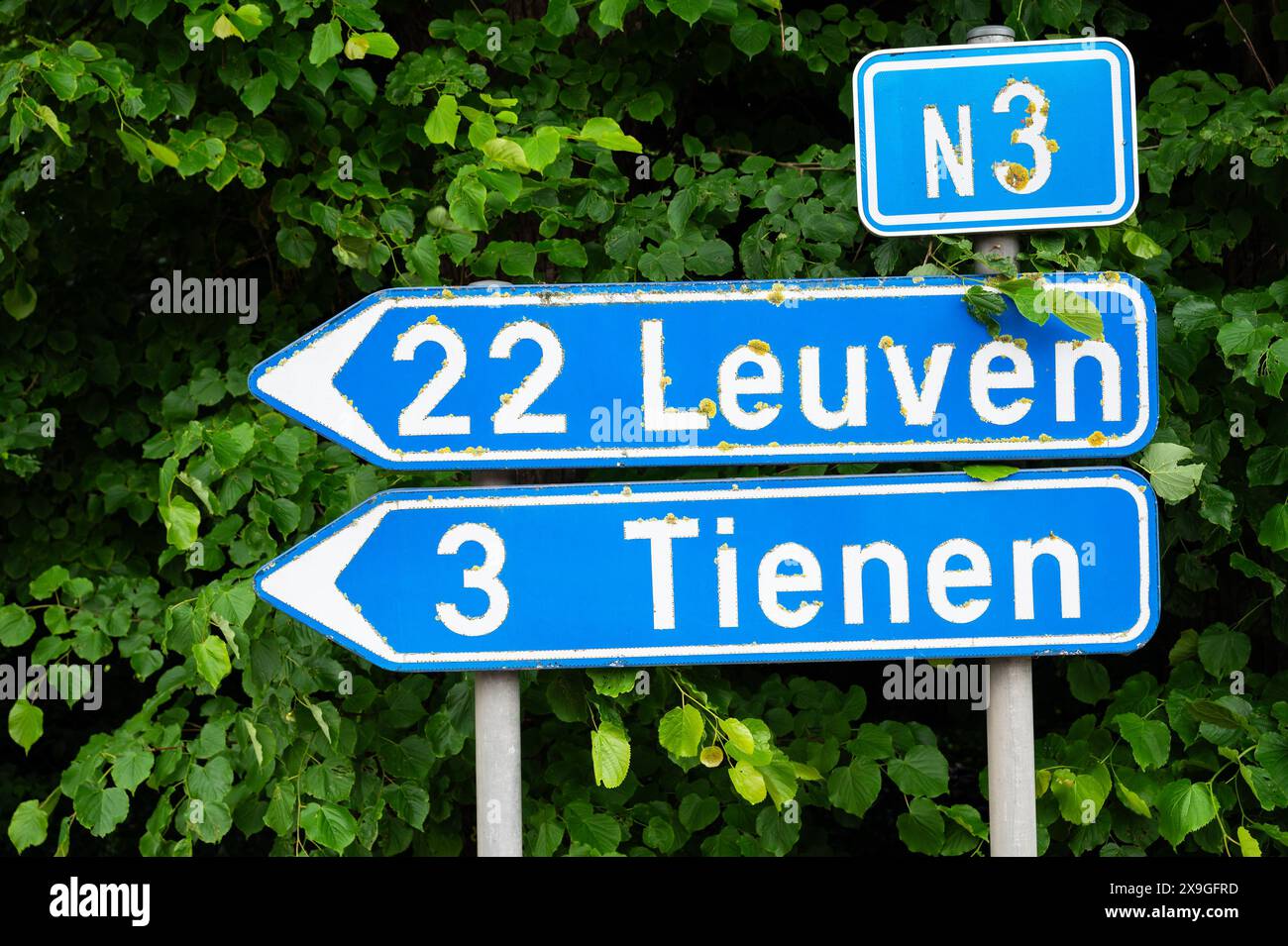 Tienen, Flanders, Belgium - May 25, 2024 - Traffic direction signs at ...