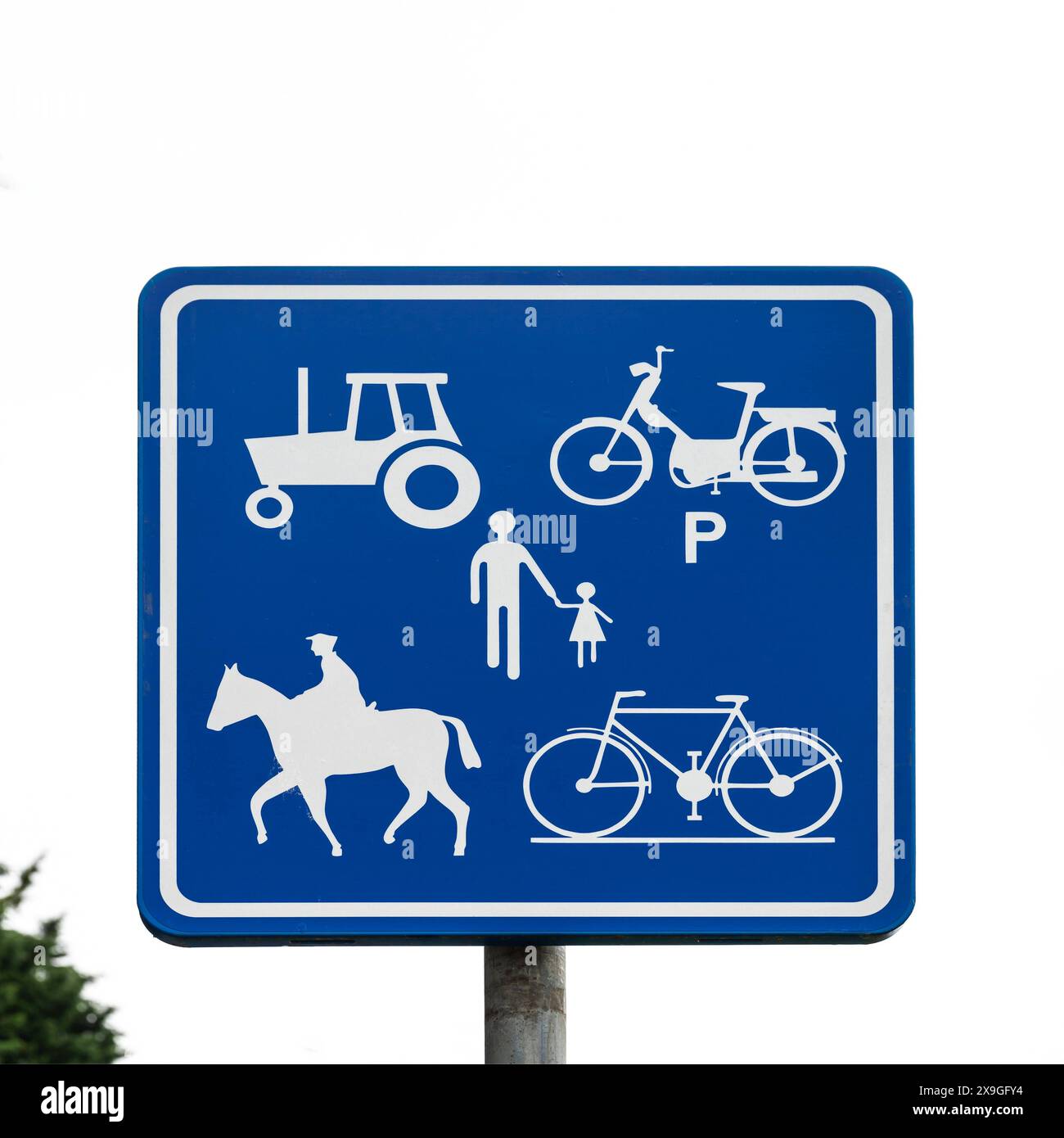 Tienen, Flanders, Belgium - May 25, 2024 - Traffic sign - road only for ...