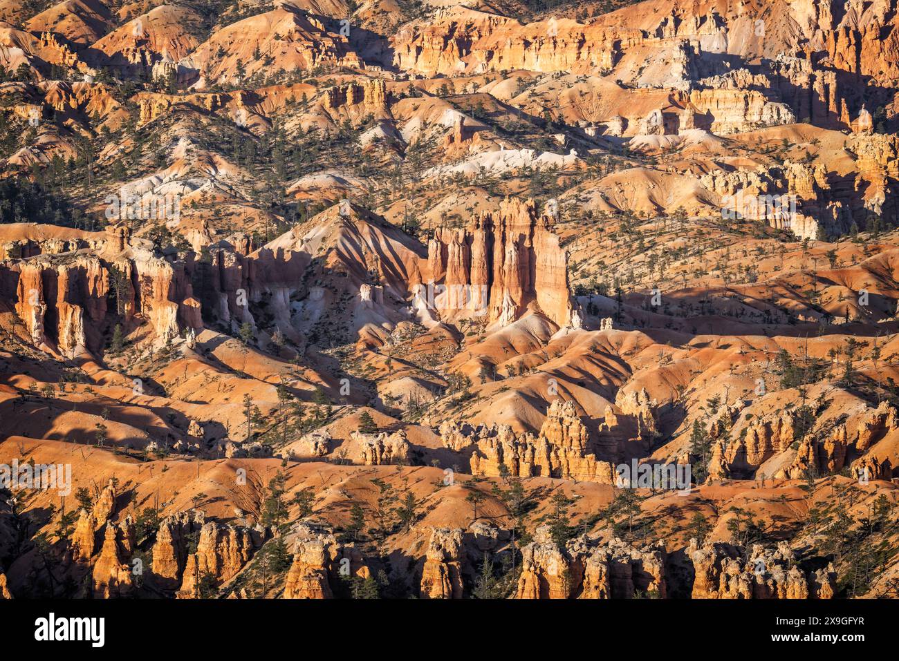 Close up of groups of spire like Hoodoos - striking geological ...