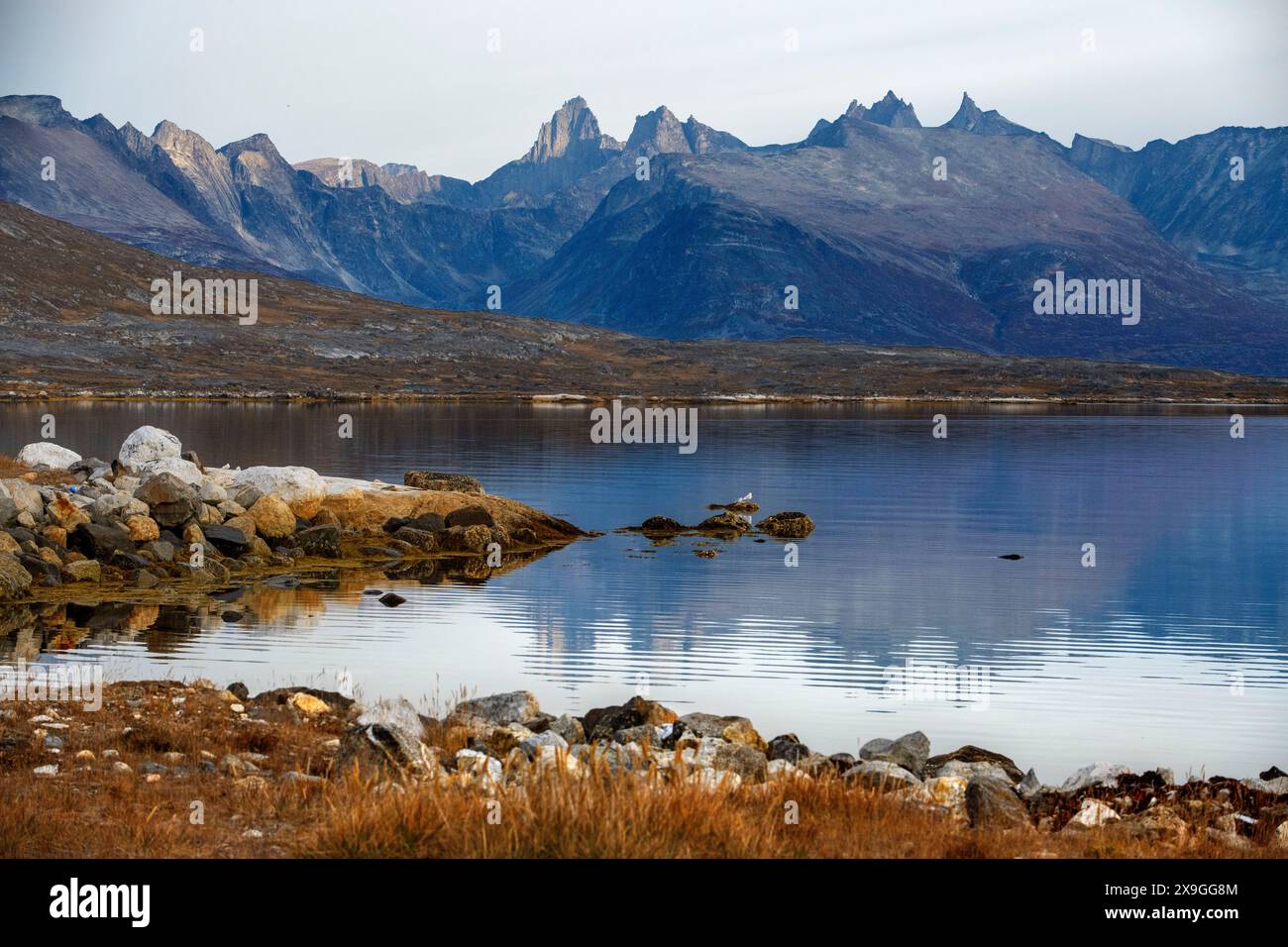 Mountains and lanscape in the bay of Nanortalik (Place of Polar Bears ...
