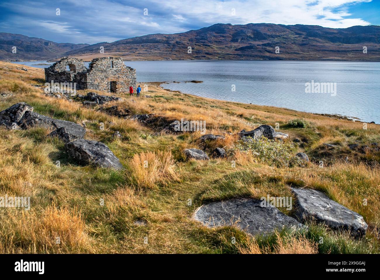 Remains of 14thc Hvalsey farmstead Banquet Hall, one of best preserved ...
