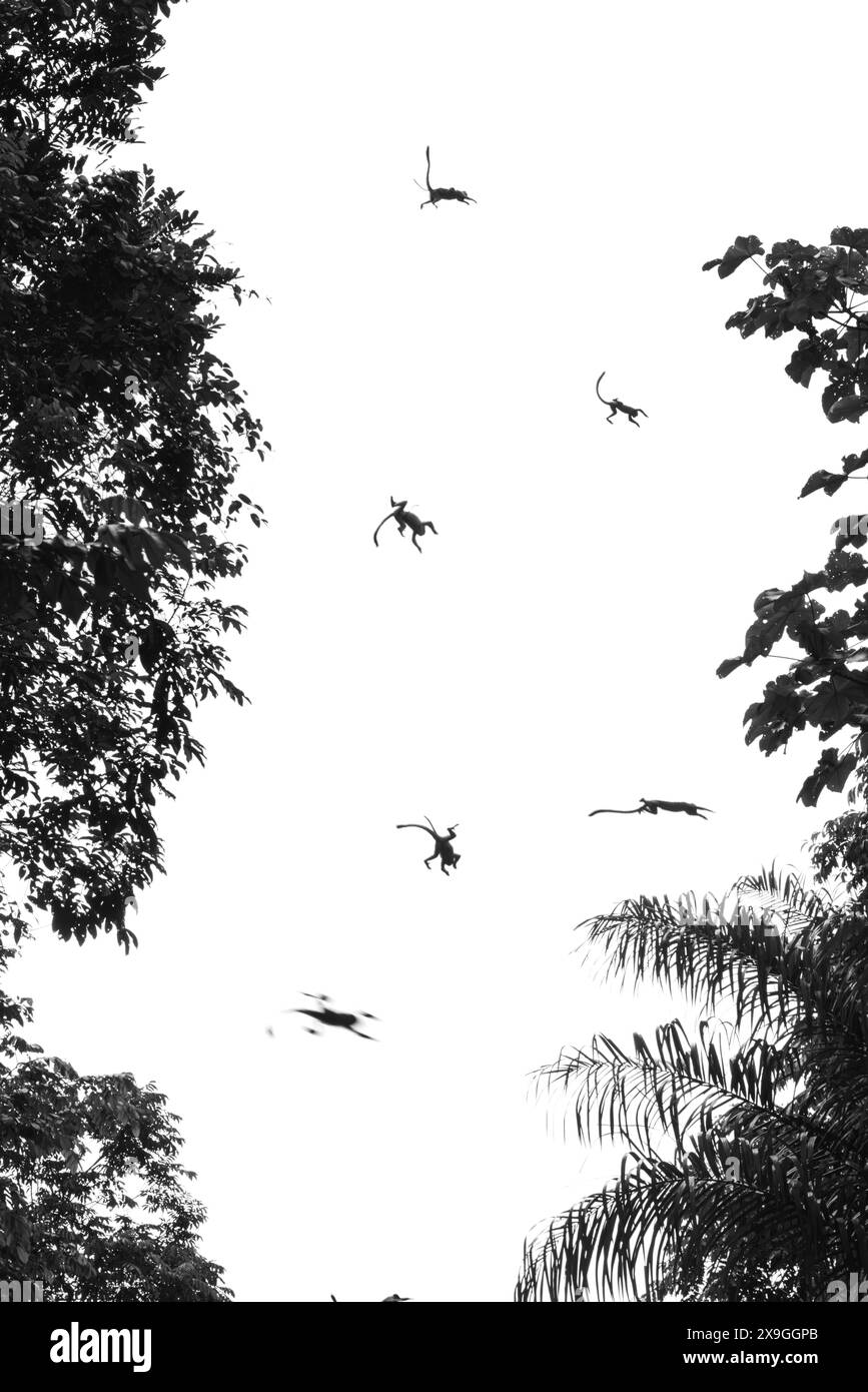 Crossing road america Black and White Stock Photos & Images - Alamy