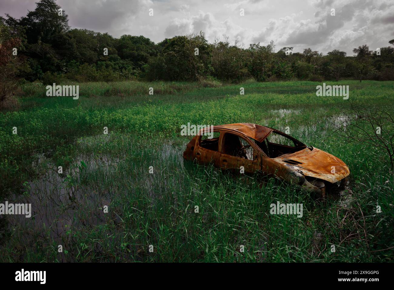 Crashed car in water Stock Photo - Alamy