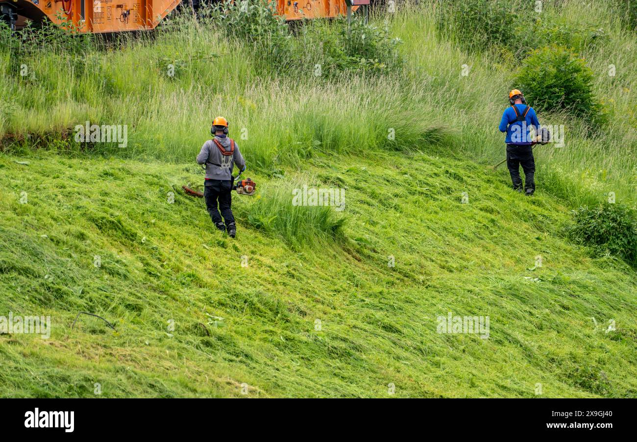 Landscape maintenance, high grass, cutting on a commercial farm ...